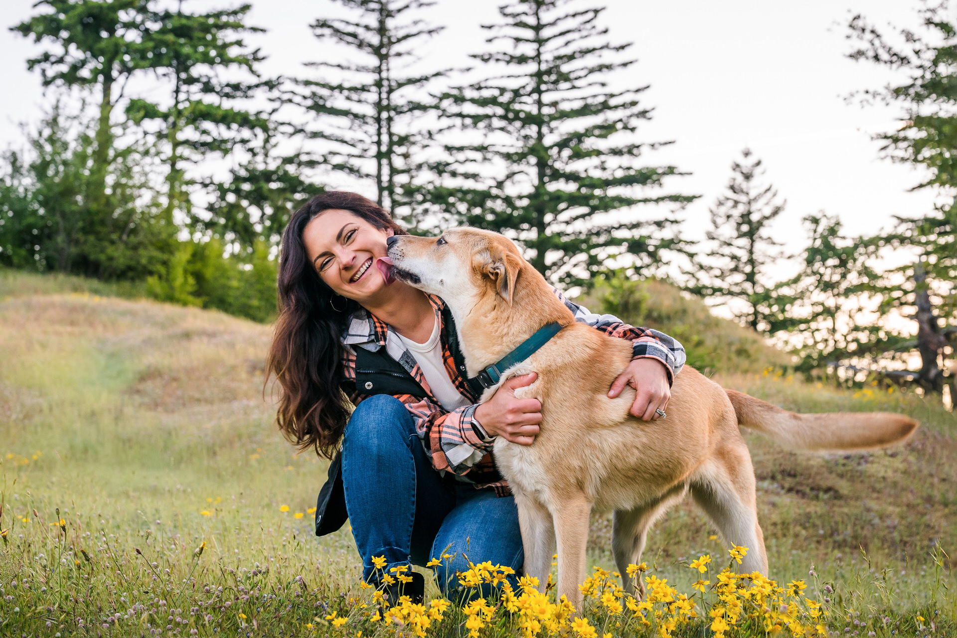 Commercial Pet Photography - Lindsay Baca Photography